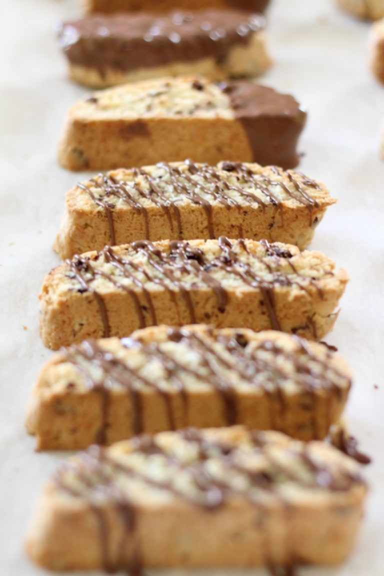 Chocolate Chip Coconut Biscotti