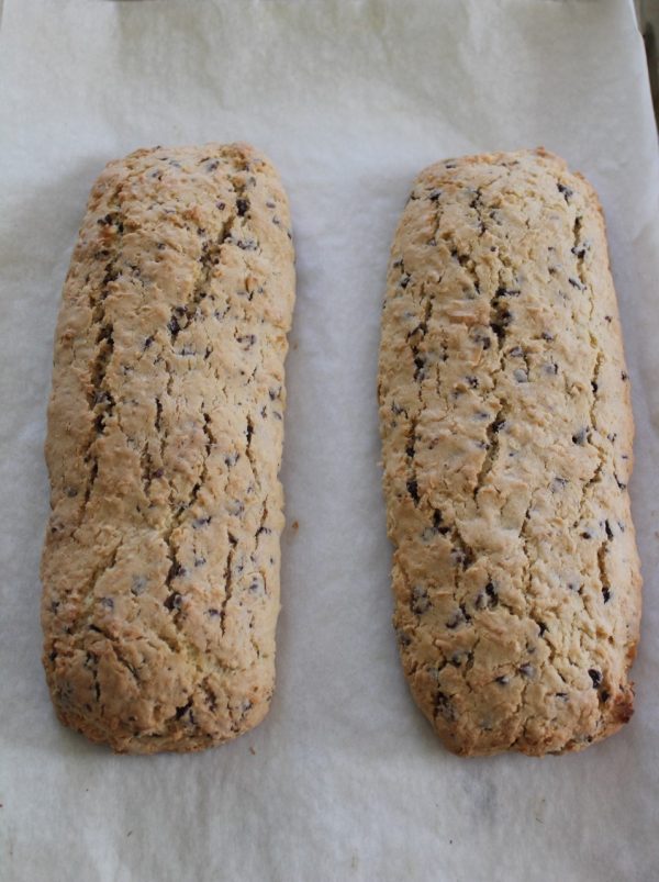 Chocolate Chip Coconut Biscotti