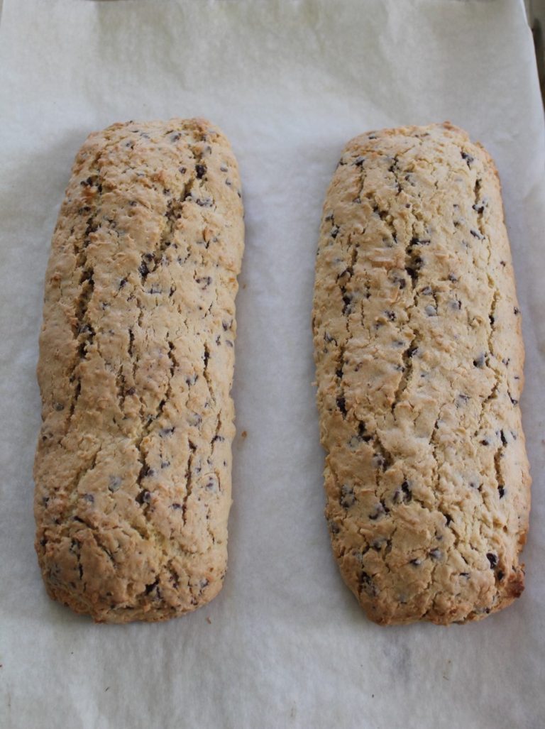 Chocolate Chip Coconut Biscotti
